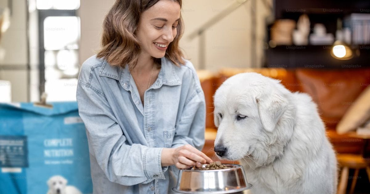 How to Store Pet Food and Common Storage Mistakes to Avoid